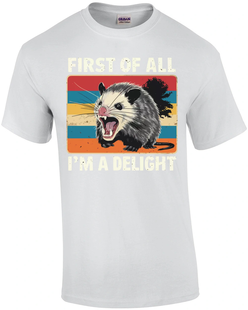 First Of All I'm A Delight, Funny Sarcasm Shirt, Sarcastic Angry ...