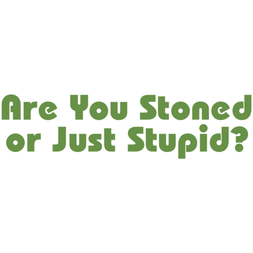 Are You Stoned Or Just Stupid T-shirt